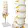 Evotech Scientific Lumbar Vertebral Column with Sacrum and Spinal Nerv